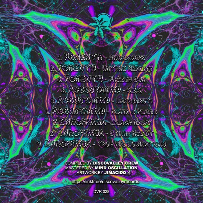 "True Hallucinations" - VA/Trilogy by Discovalley Records